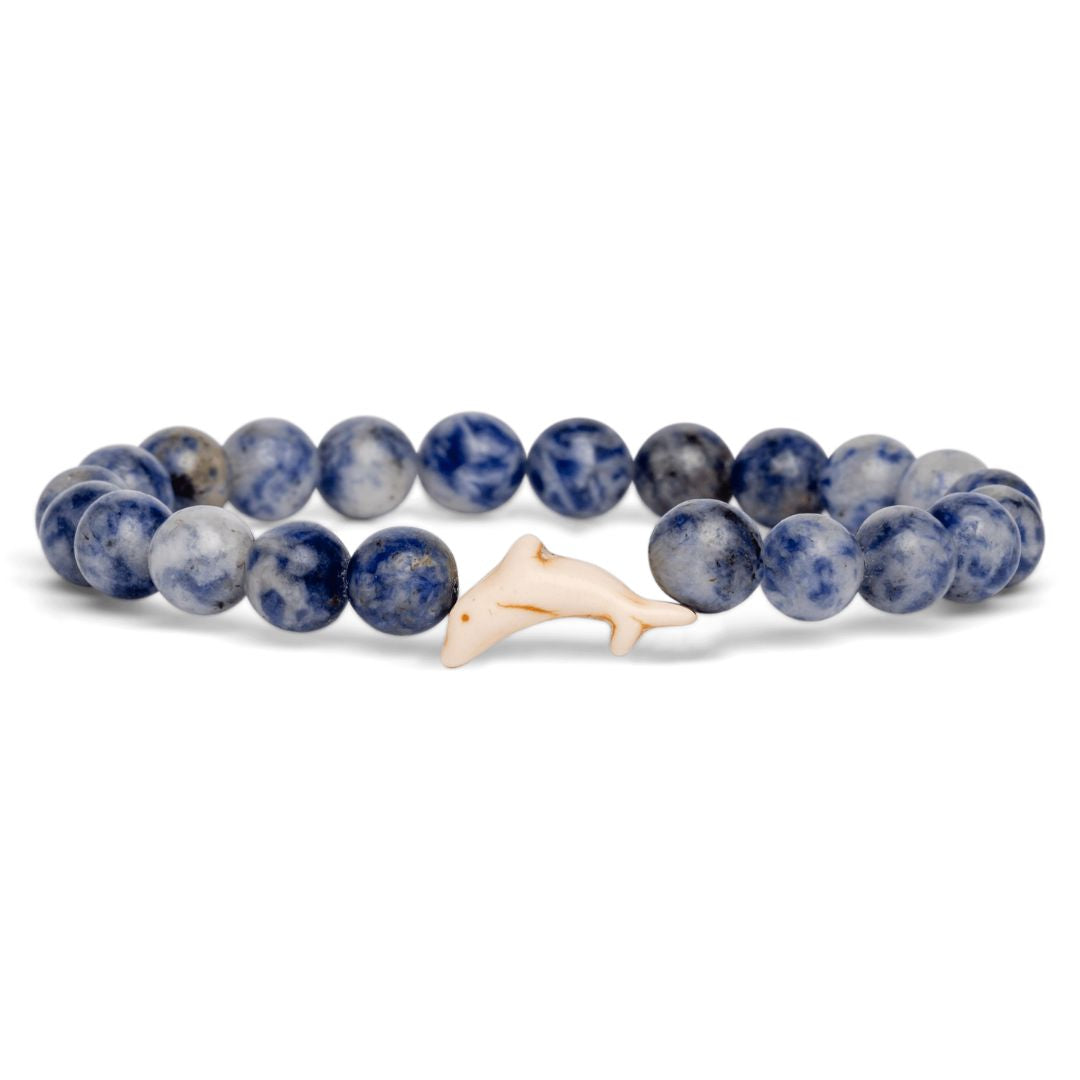 Fahlo Dolphin Tracking Bracelet – Silver Bee Boutique
